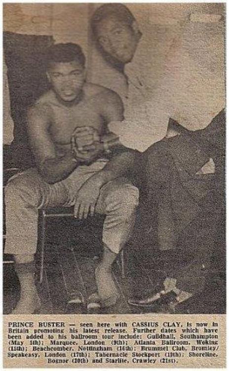 Prince Buster the Boxer – Heather Augustyn